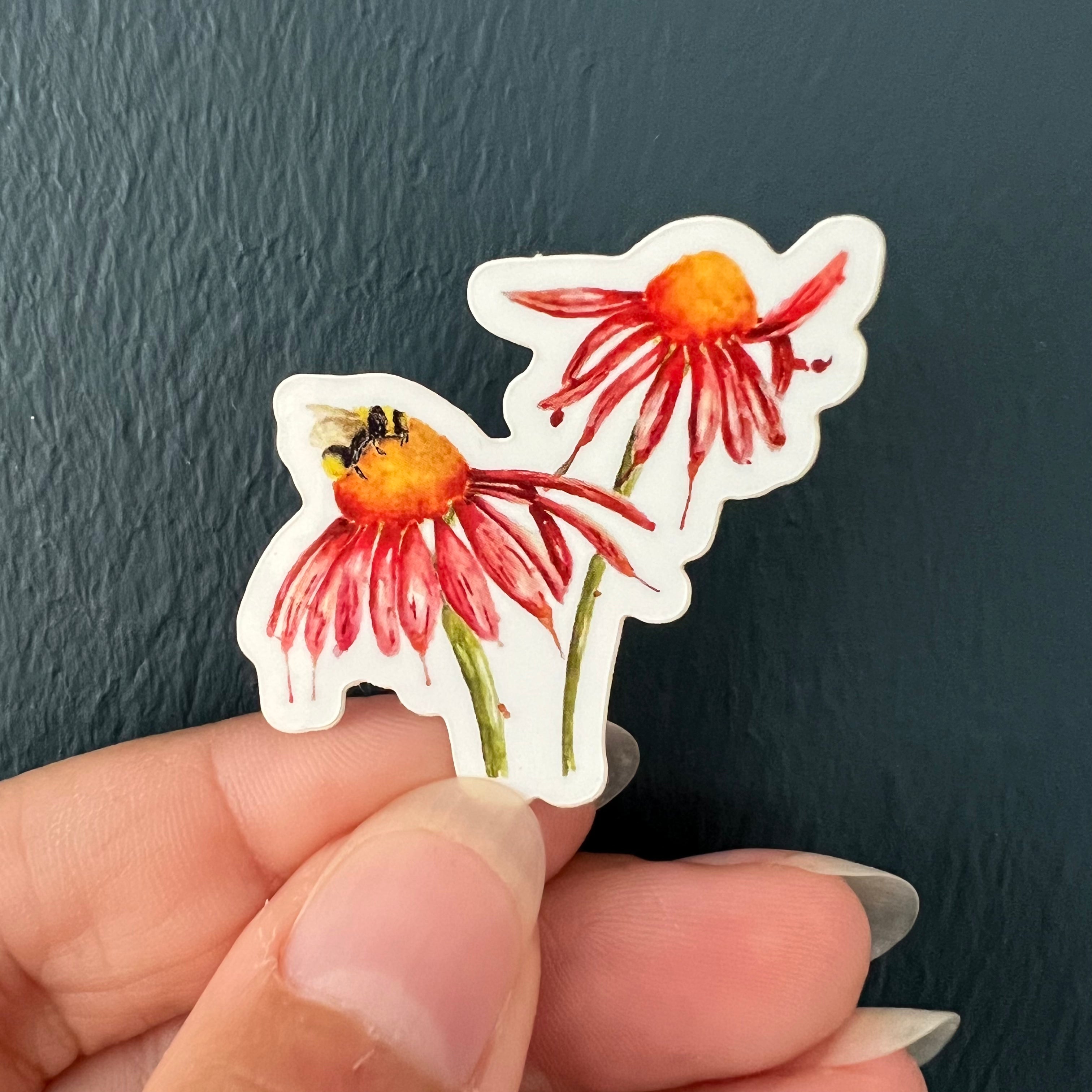 Uitverkoop Echinacea met bij sticker – Bij Chantal